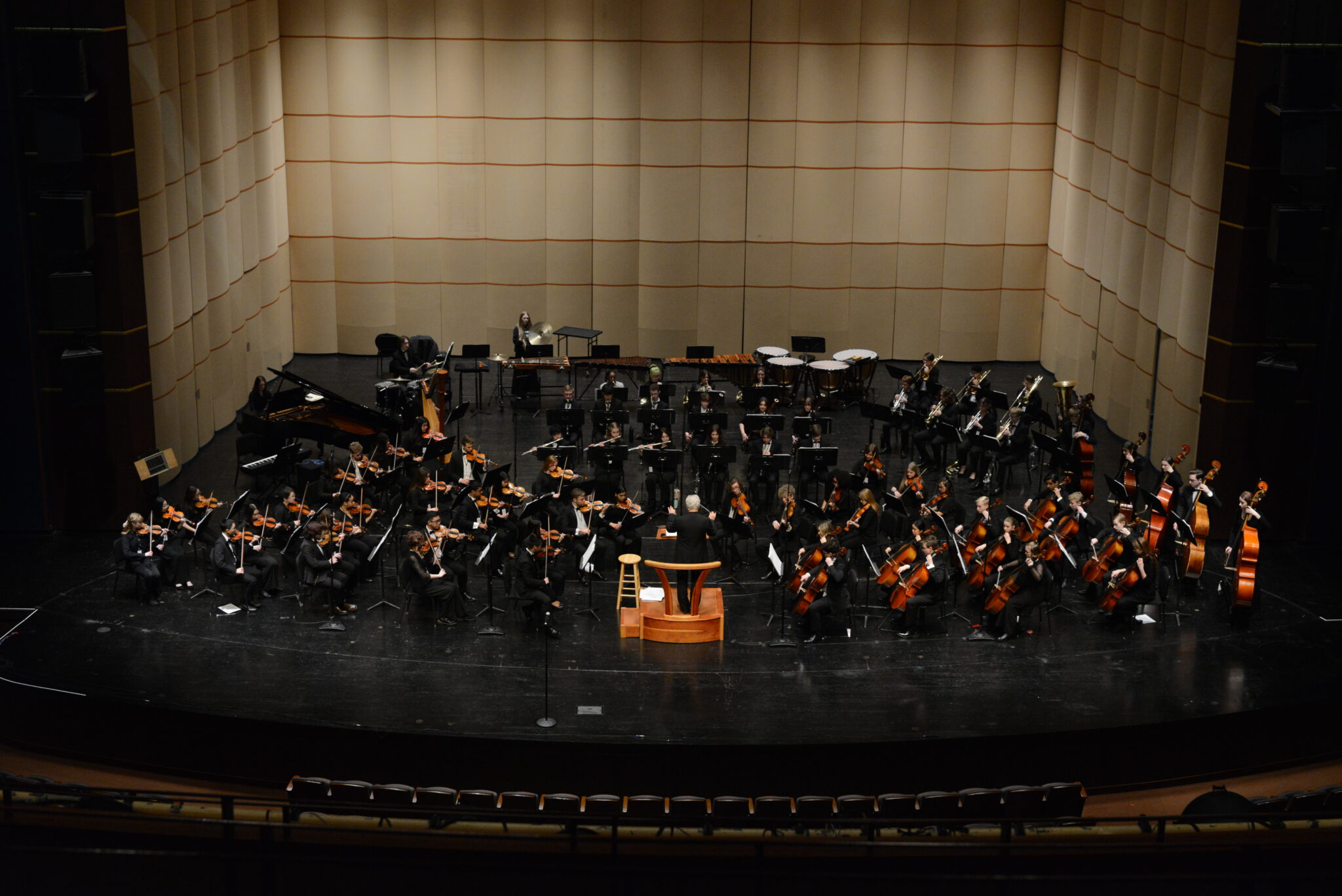 Youth Orchestras of the Dayton Performing Arts Alliance